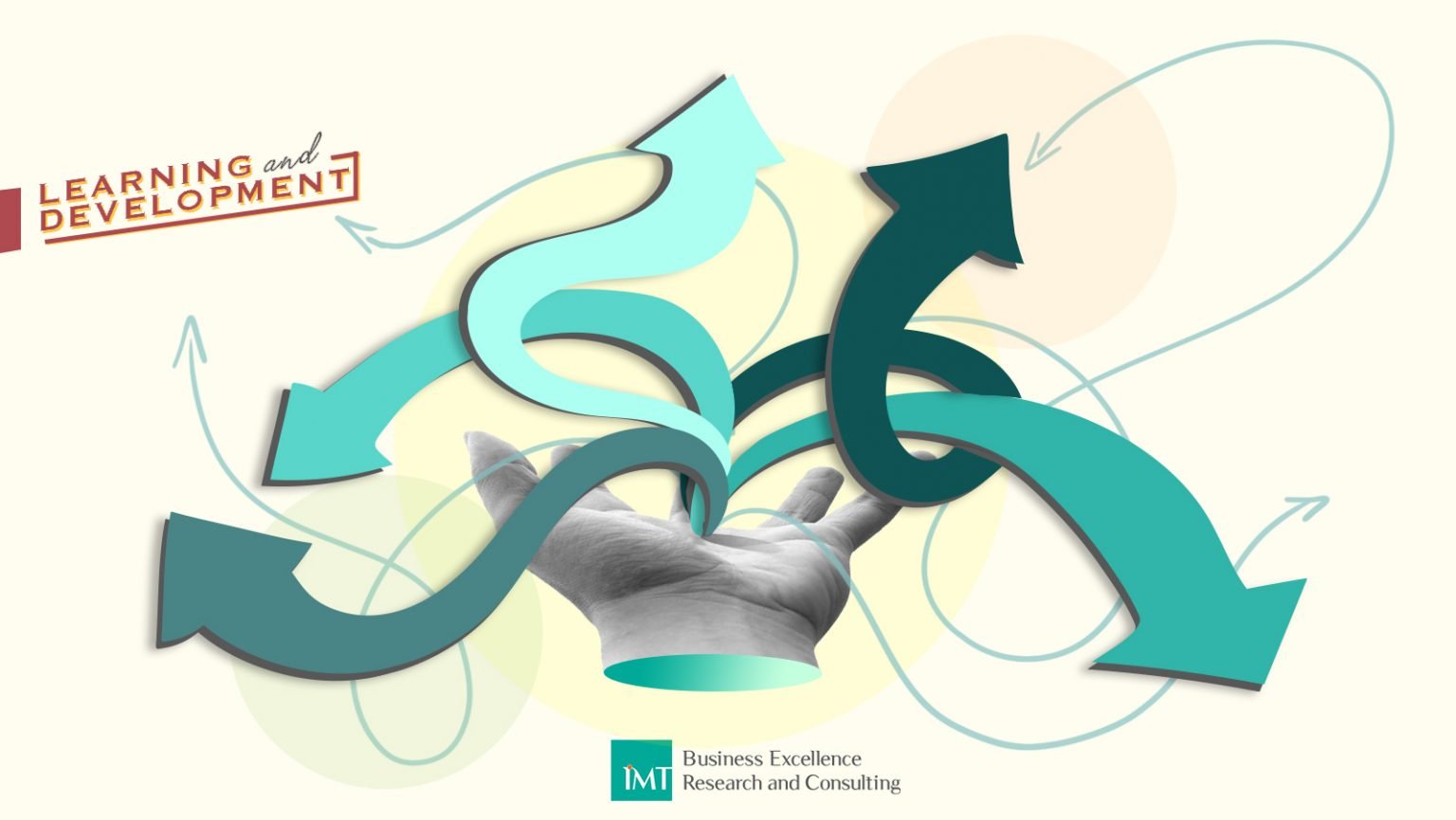 IMT - Business Excellence Consulting